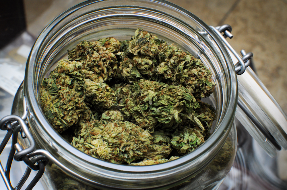 Yale Team Provides Link Between Cannabis and Aggressive Behavior – Yale ... Yale Team Provides Link Between Cannabis and Aggressive Behavior – Yale ...
